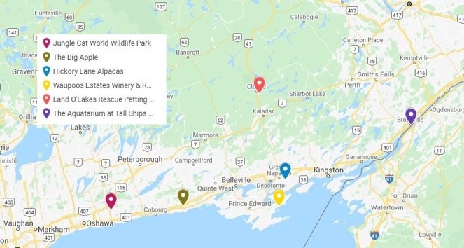 Where to See Animals (in Person and Online) in the Quinte Region ...